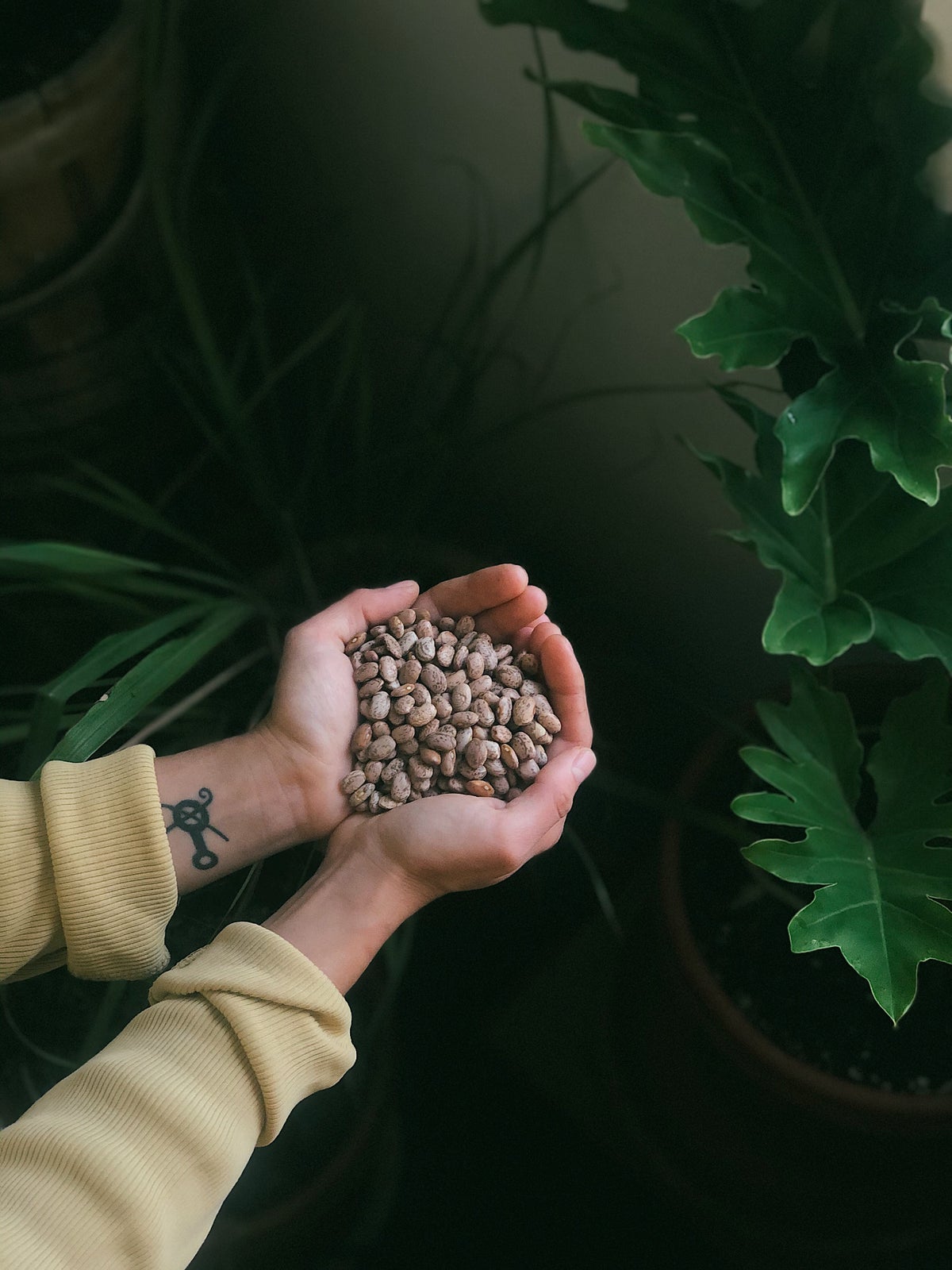Sustainable grocery shopping